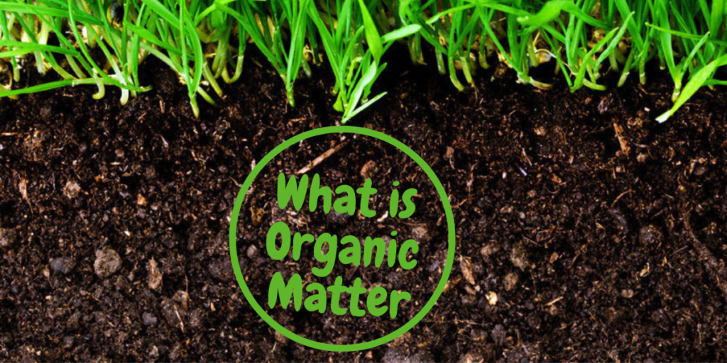 What is Organic Matter?