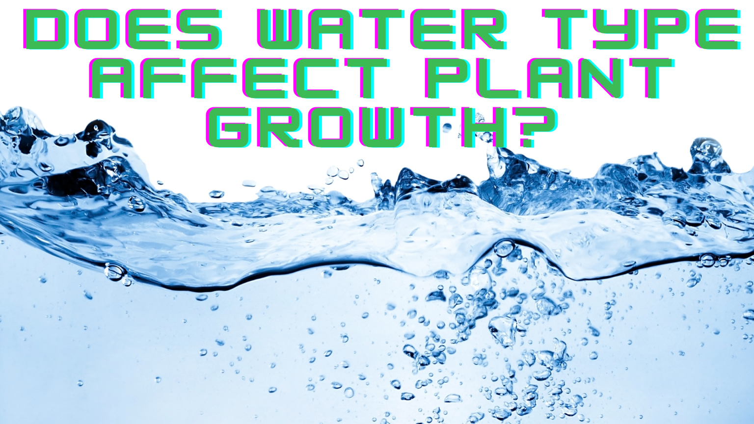 Does Water Type Affect Plant Growth? Discover the Results!
