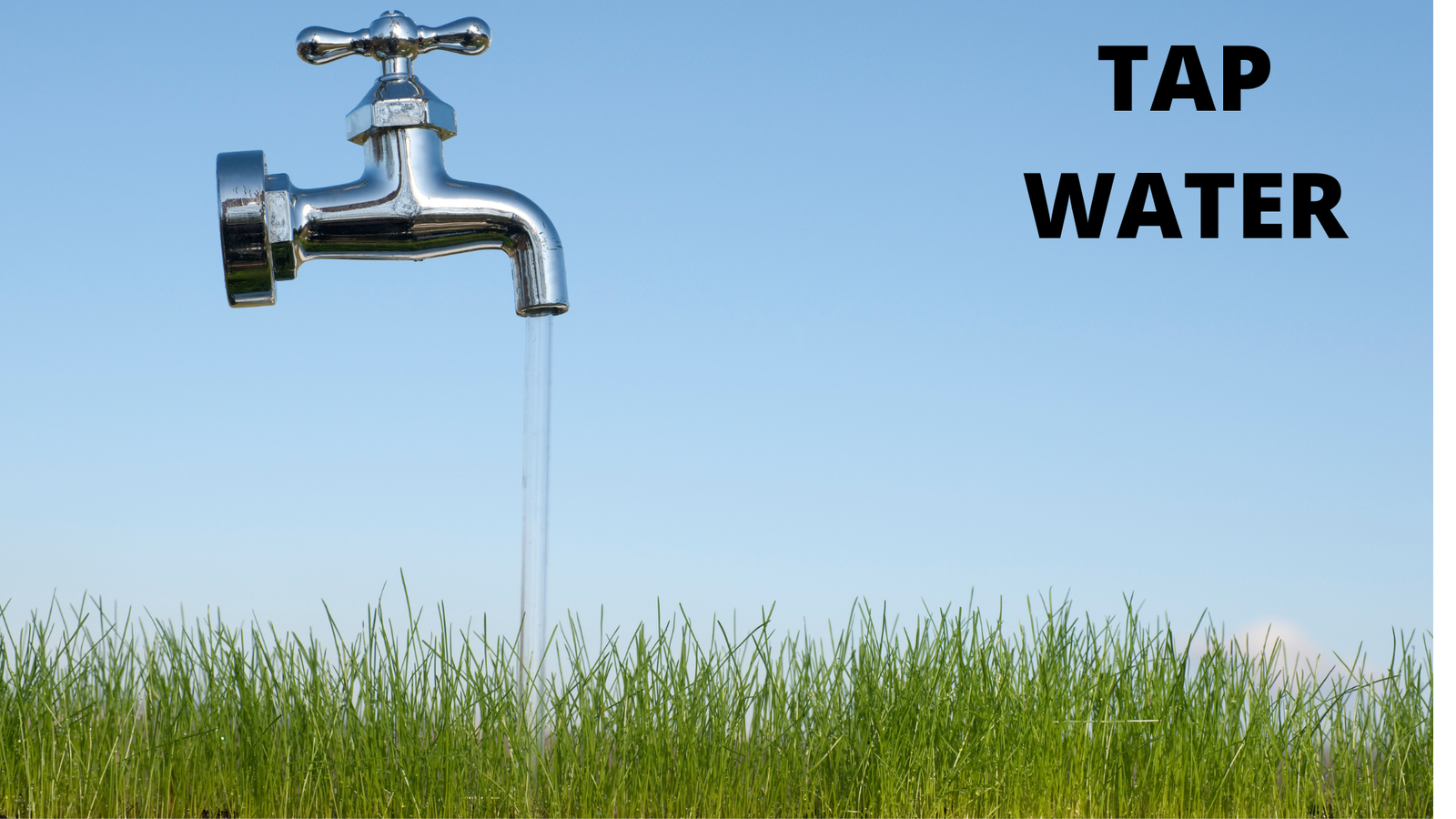 Does Water Type Affect Plant Growth? Discover the Results!