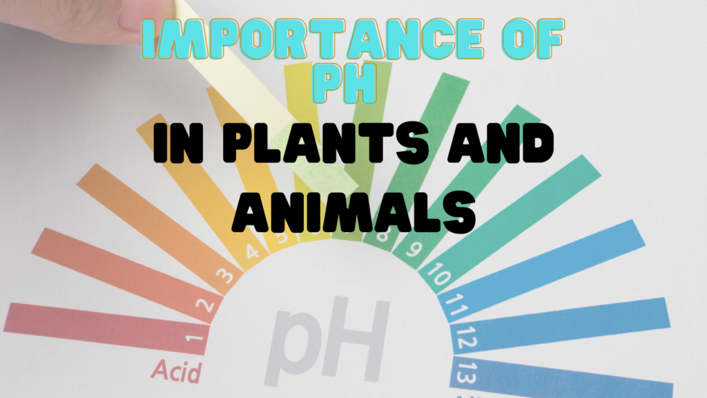 Importance of pH in Plants and Animals- Decoding a Reality!