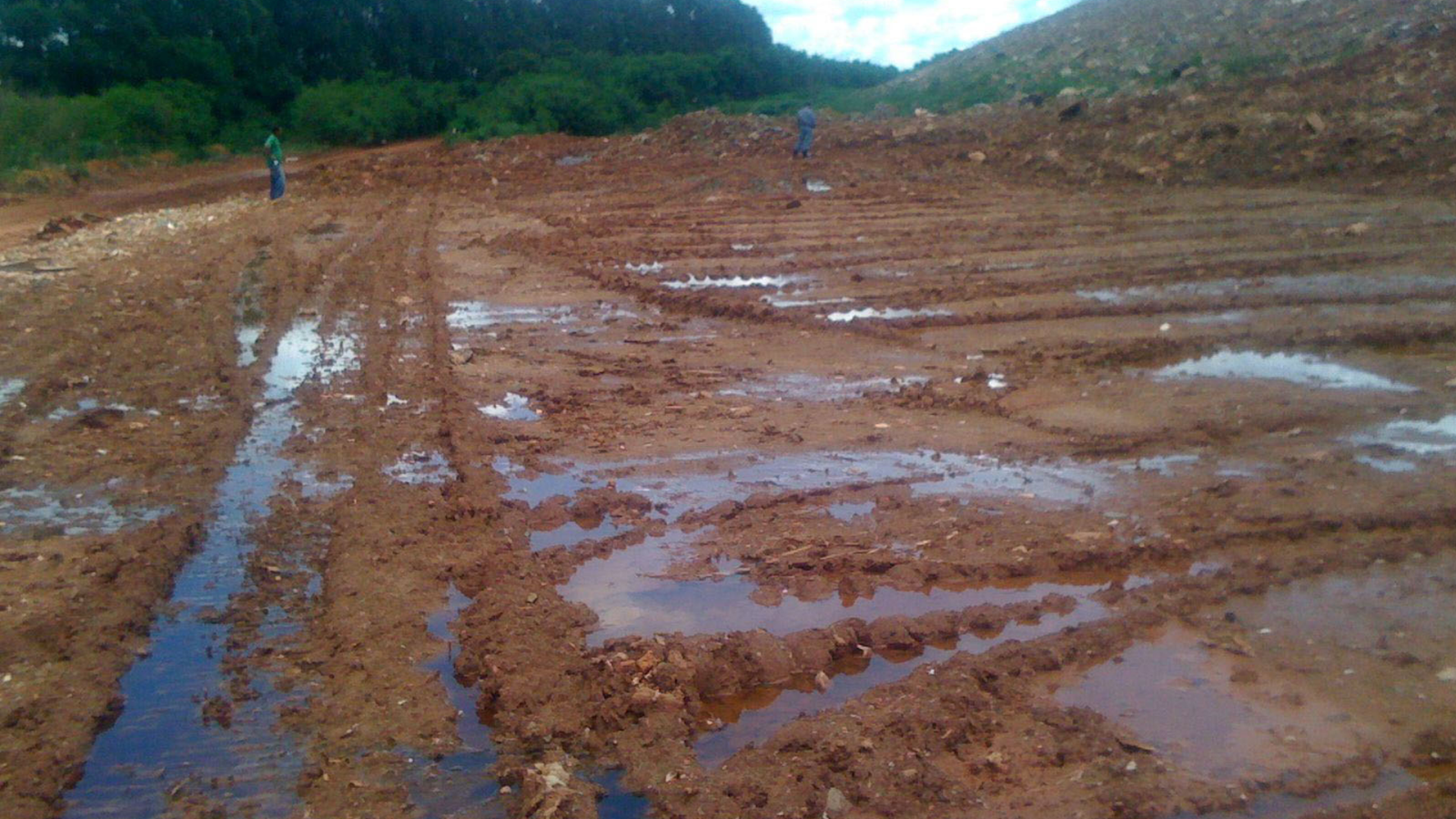 7 Disadvantages of Manure Fertilizers - SaveYorkGarden