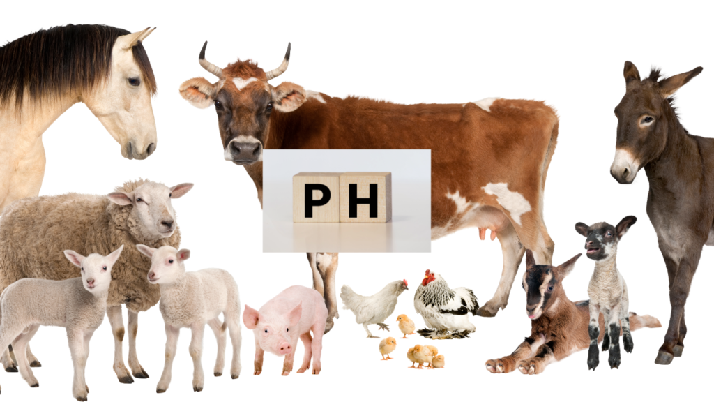 Importance of pH in Plants and Animals- Decoding a Reality!